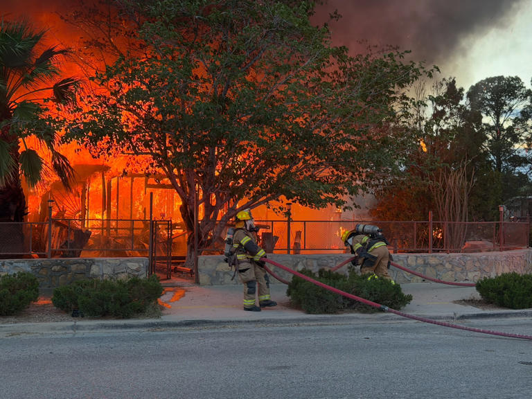 1 person, several dogs found dead in Horizon City house fire