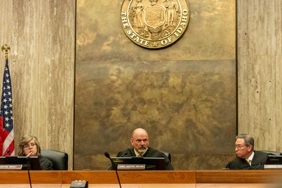 Idaho Supreme Court says new law could delay adoption, parental ...