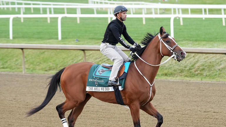 How the hell did Preakness contender The Hell We Did get his name?