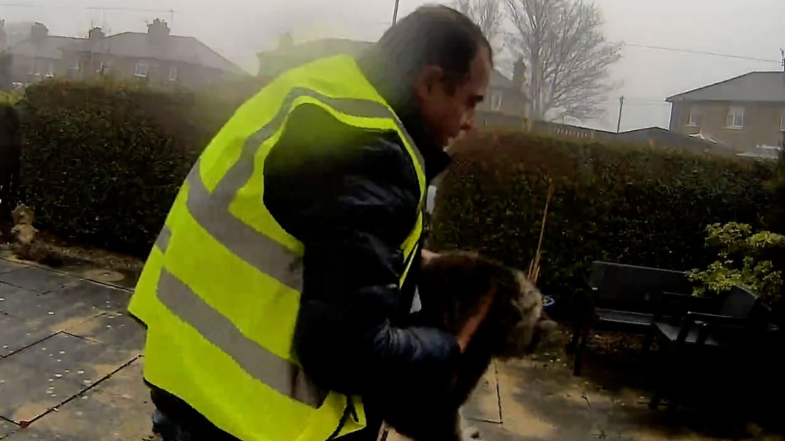 Delivery driver caught stealing cat
