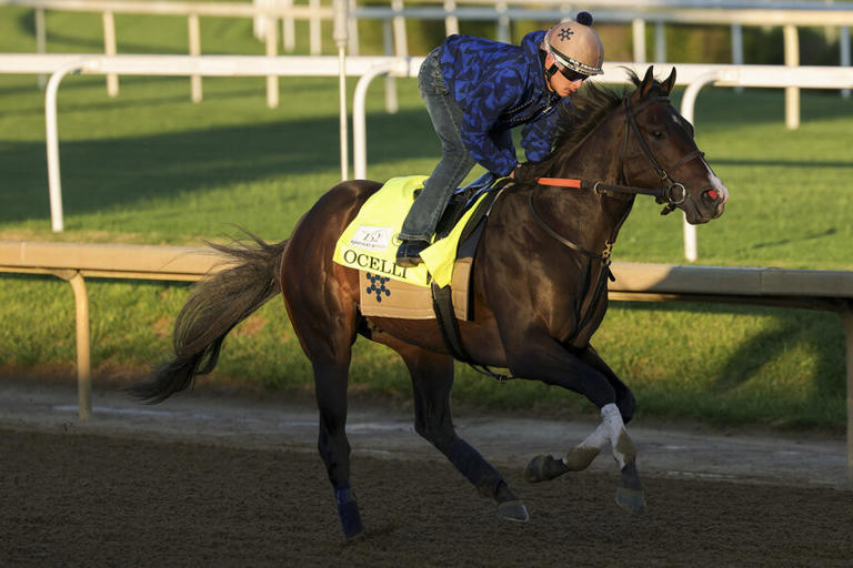 How to watch the 2026 Preakness Stakes on NBC & Peacock: Everything to know