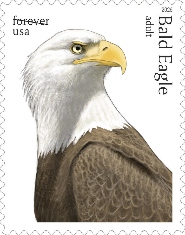 USPS unveils iconic bald eagle stamps to celebrate America’s 250th