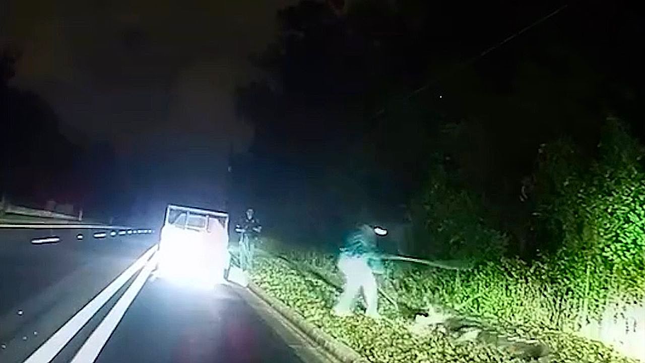 10-foot alligator lunges at trapper during roadside capture in Florida