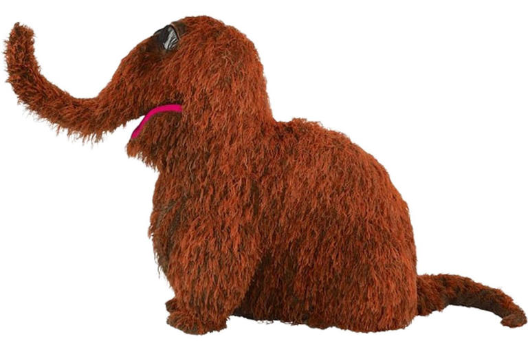 New species found after 25-year search and named after Sesame Street’s ...