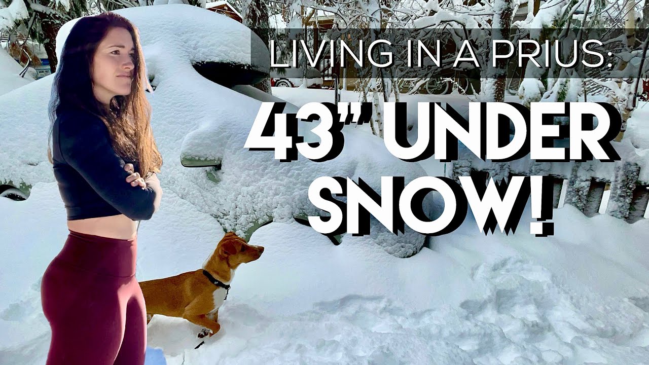 Living in a Prius: Stuck in a snow storm, alone in the mountains ...
