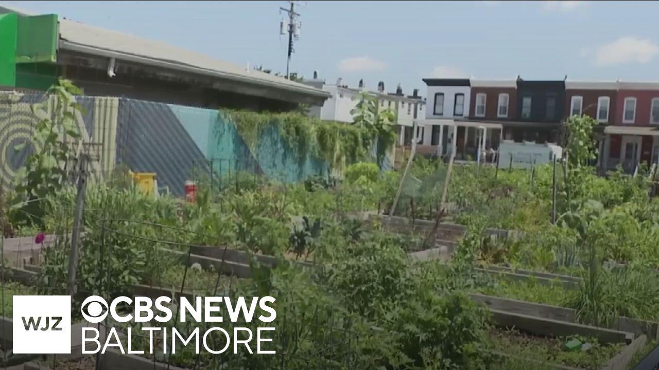 Voluntary water restrictions in place for parts of Baltimore amid ...