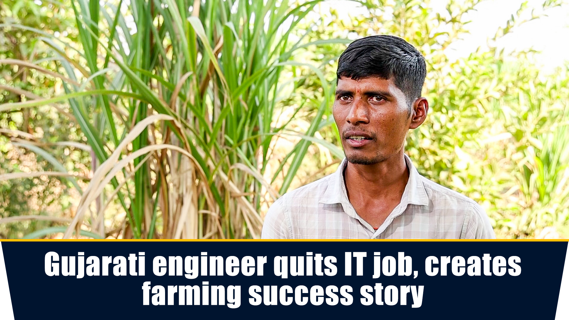 Gujarati engineer quits IT job, creates farming success story