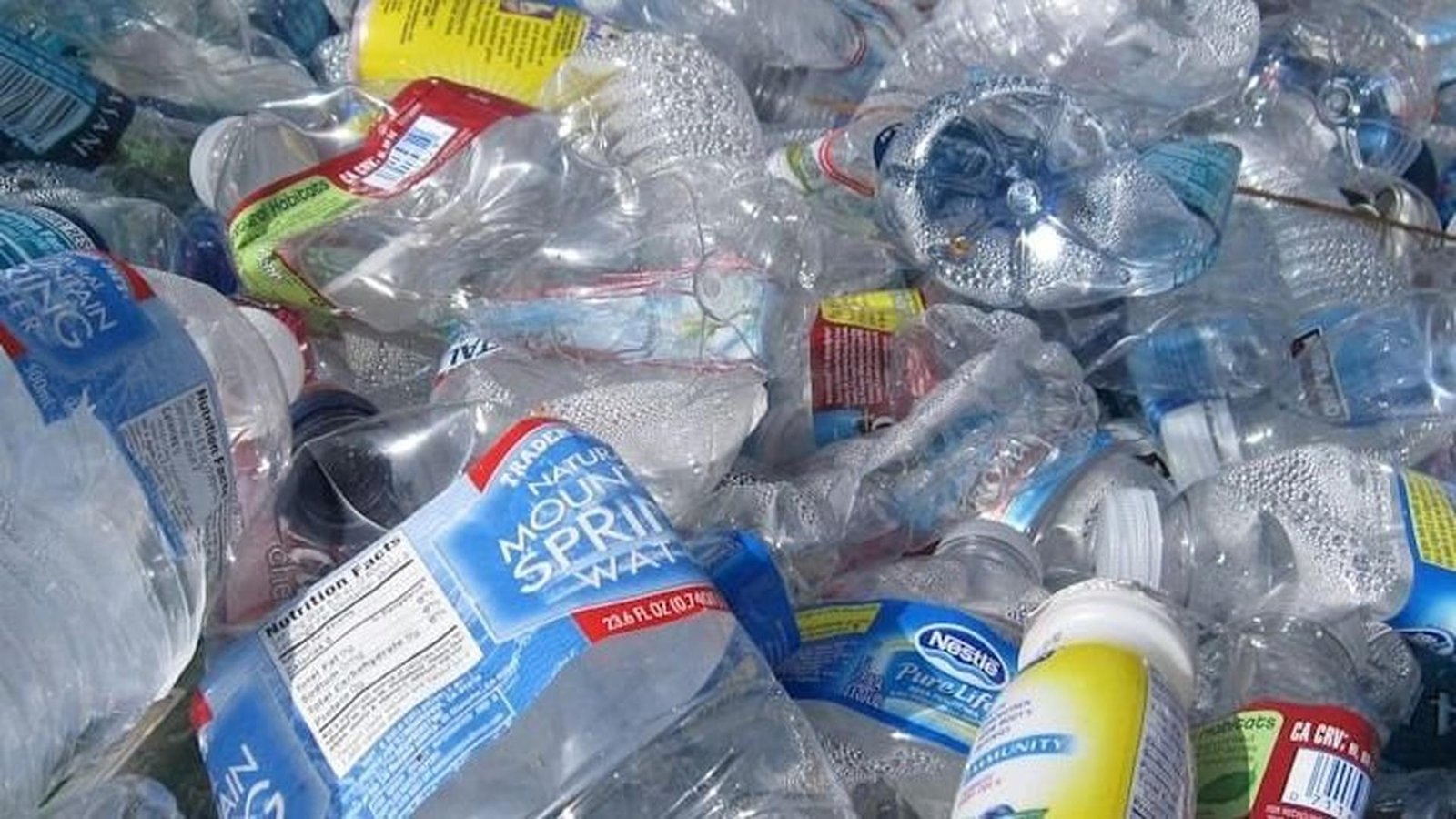 The global shift away from single-use plastics