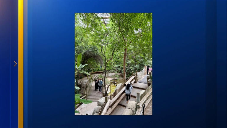 Fresno Chaffee Zoo's tropical rainforest aviary closing after nearly 40 ...