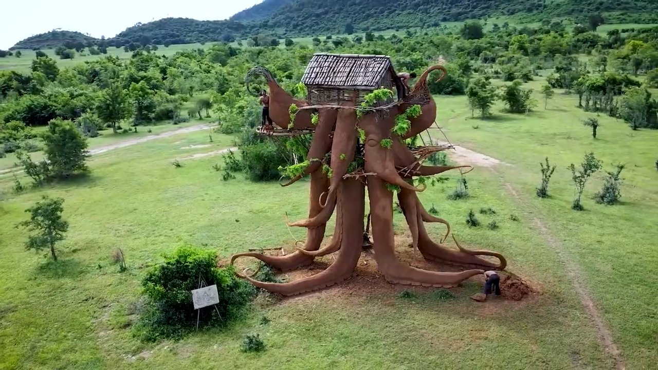 Bro has never heard of gravity — so he moved 15 meters into a tree