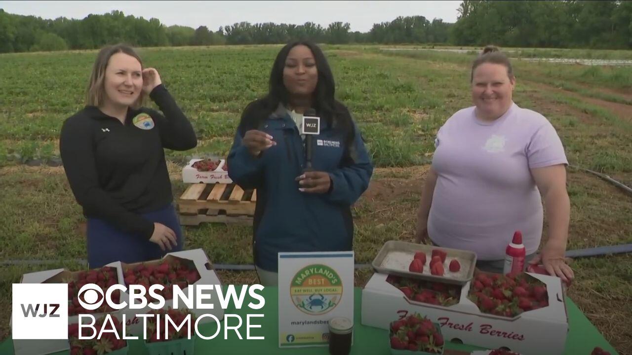 Around town: Lohr’s Orchard in Maryland prepares for strawberry season