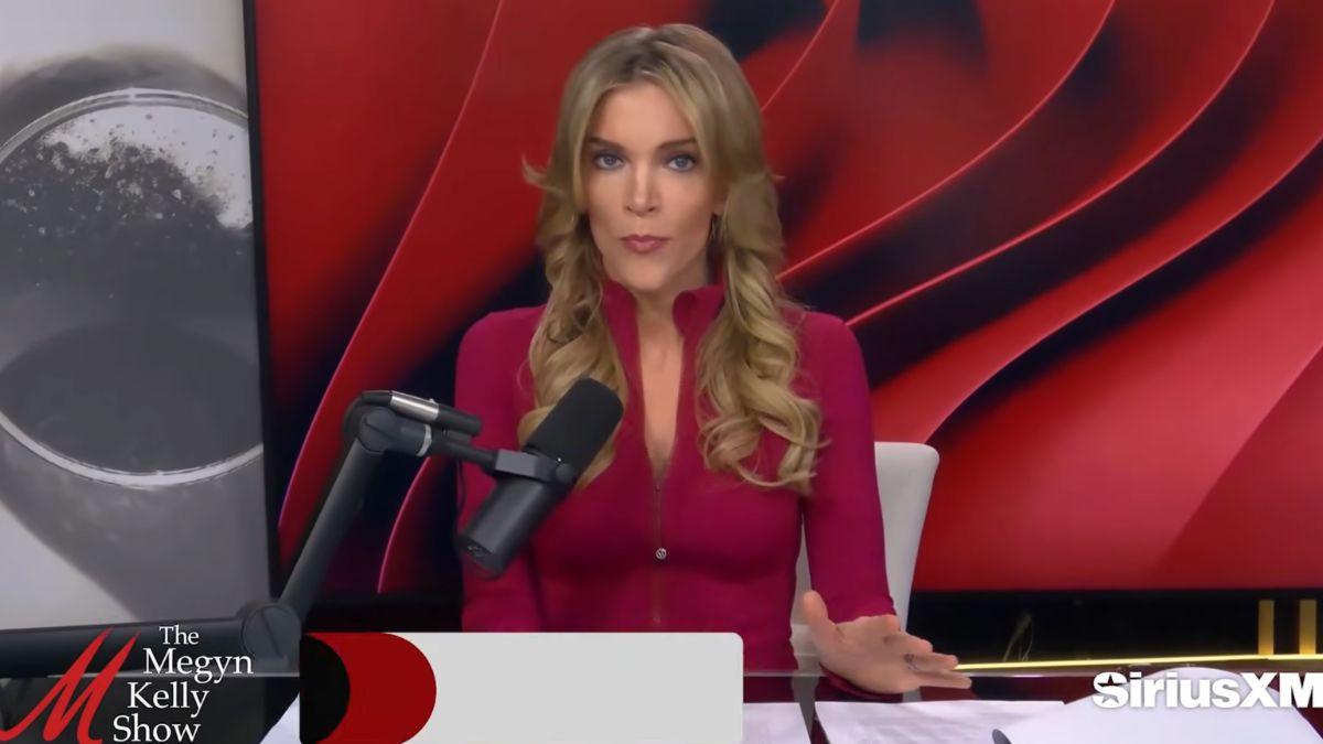 Megyn Kelly supports killer Alex Murdaugh's re-trial as Supreme Court ...