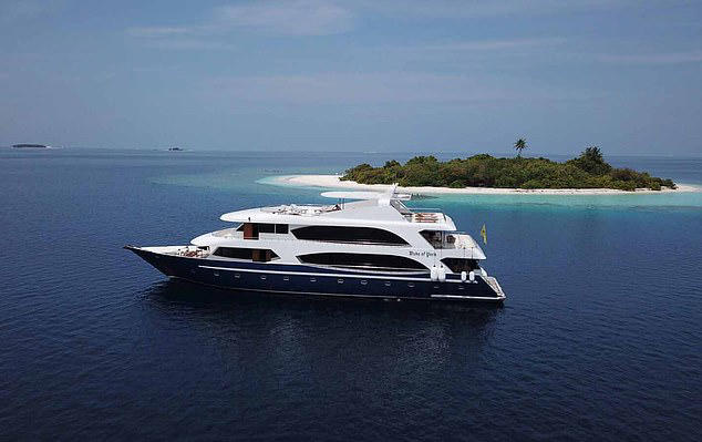 Five tourists 'including professor and her daughter' die during diving ...