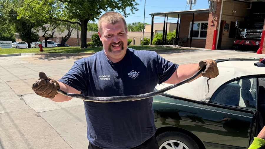 Big snake scares man driving in Topeka, firefighters come to the rescue