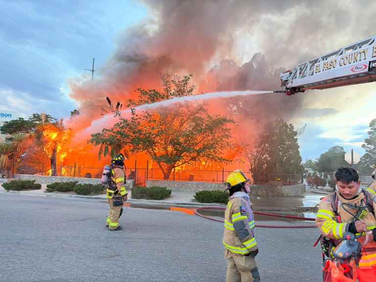 1 person, several dogs found dead in Horizon City house fire