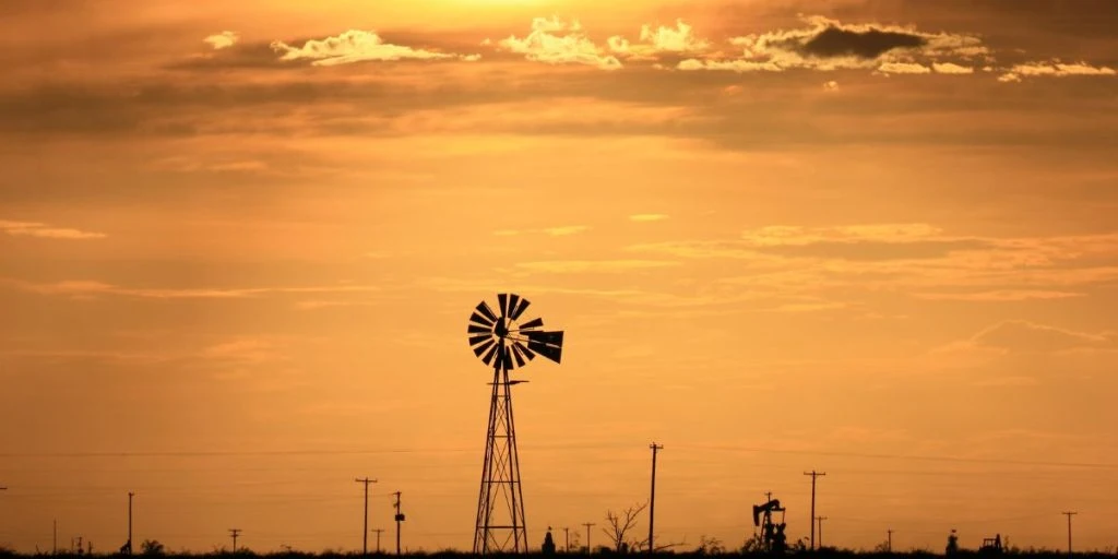 Beef prices could skyrocket after horrific parasite hits Texas calf