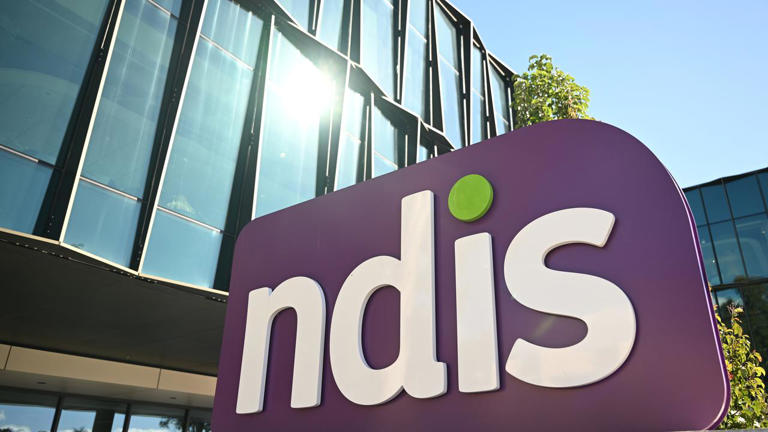 NDIS reform to clean up fraud, improve care: providers