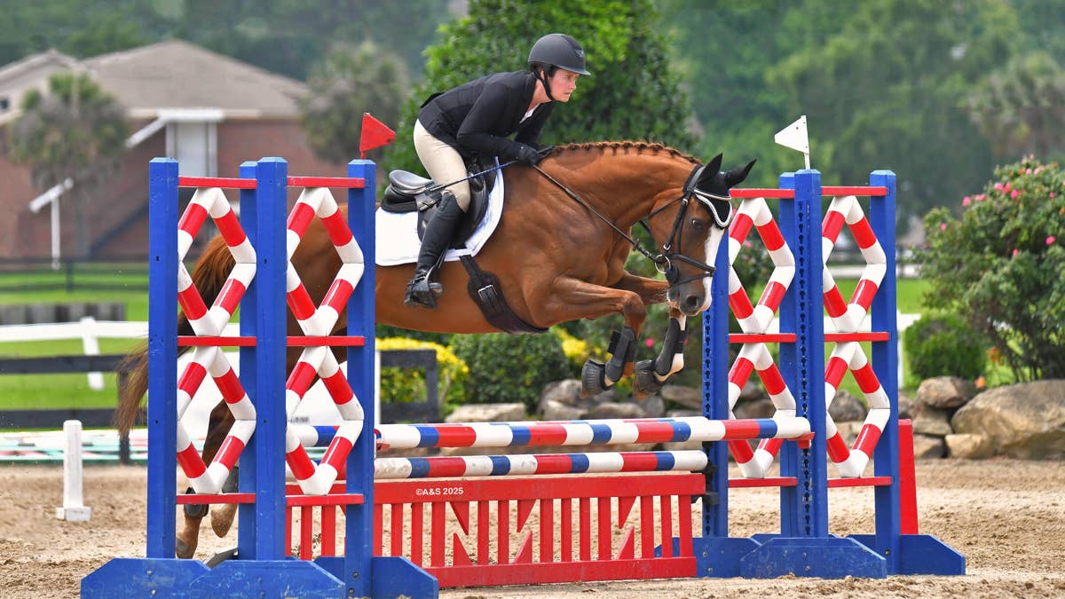 New vocations to host 23rd annual all-thoroughbred charity show