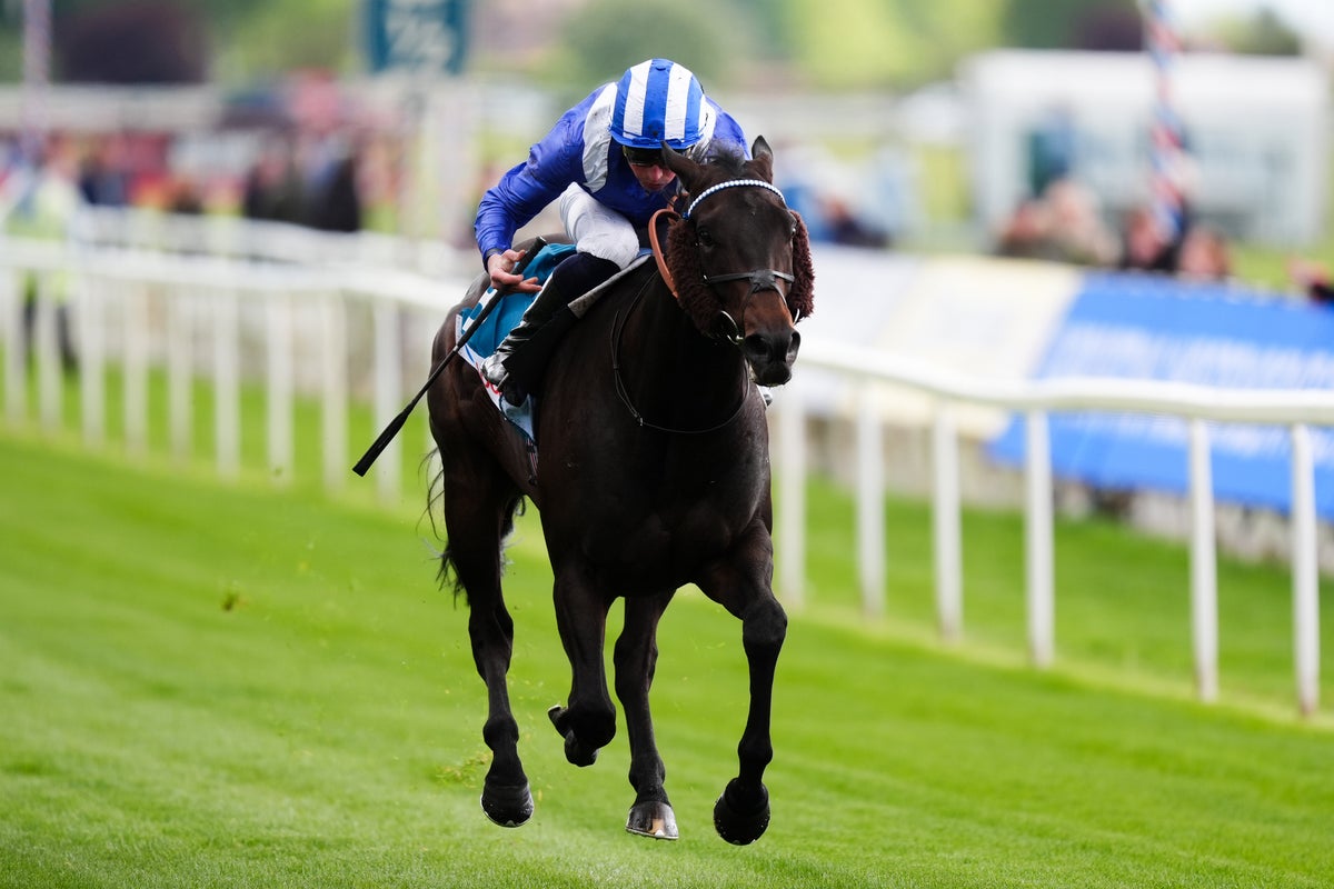 York racing tips: Best bets for Friday at the Dante Festival