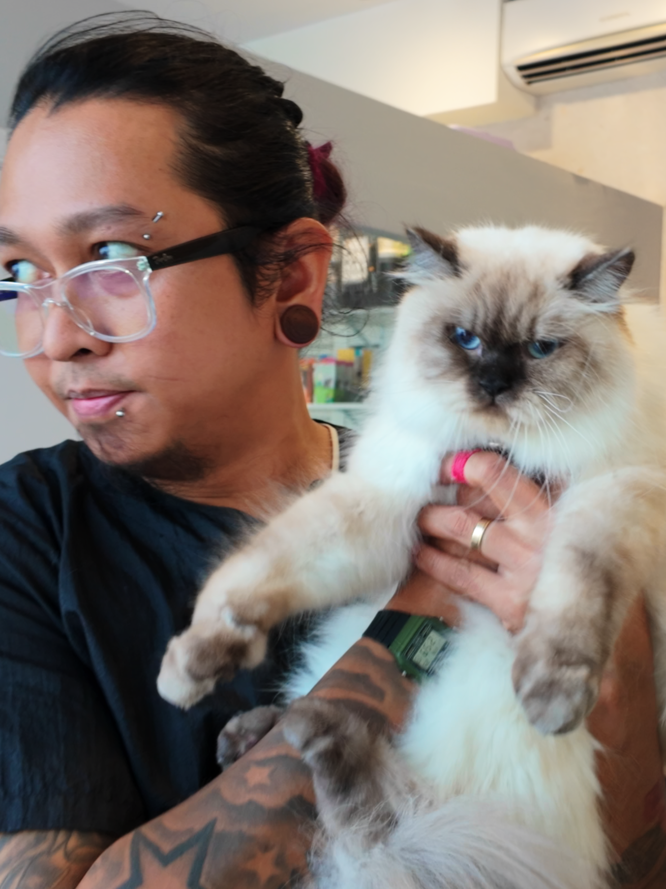 Mimi was a much-needed break 😹