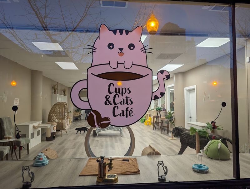 This West Virginia café serves coffee with a side of purrs and cozy cat ...