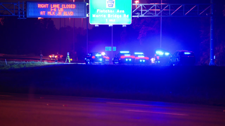 Tampa man trying to walk across I-75 near Fletcher Avenue hit, killed ...
