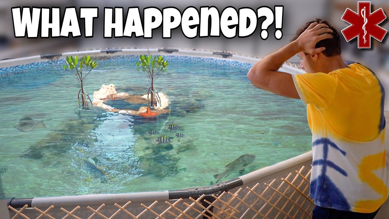 I just uncovered a problem in my saltwater pond!