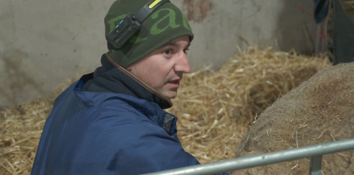 The Yorkshire Vet star issues 'sad' update after heartbreaking loss on farm