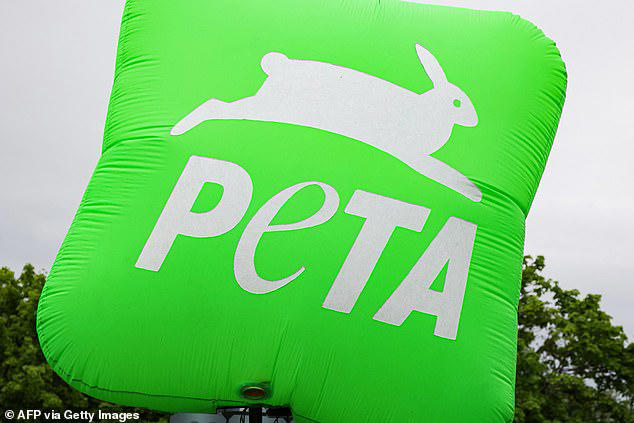 NFL star slammed by PETA for killing 'intruder' insect after he boasted ...