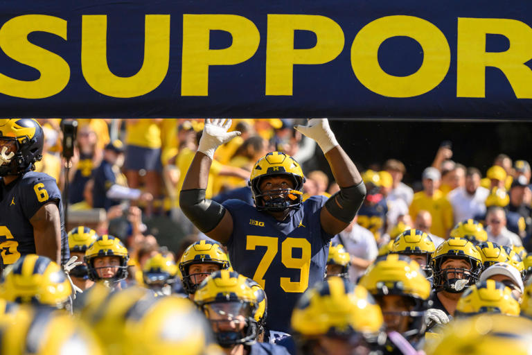 Michigan football lands verbal commitment from Brayden Watson, 3-star LB
