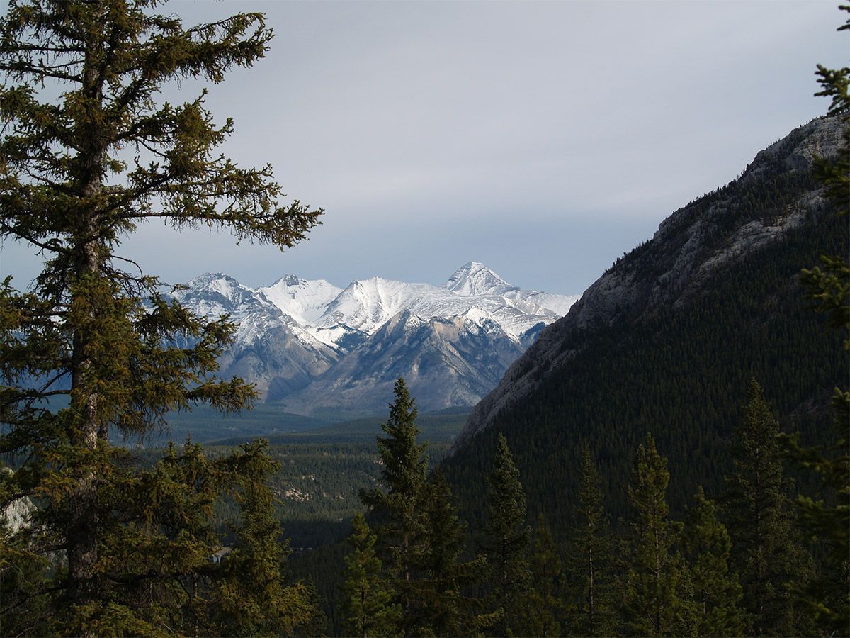 Some areas, trails closed in Banff National Park, K-Country this May ...