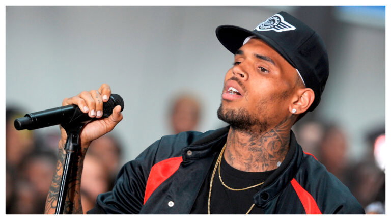 Chris Brown ontkent schuld in rechtszaak rond vermeende hondenaanval