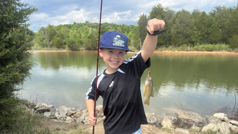 Hall Bend Small Wild Area offers outdoor recreation in Loudon County