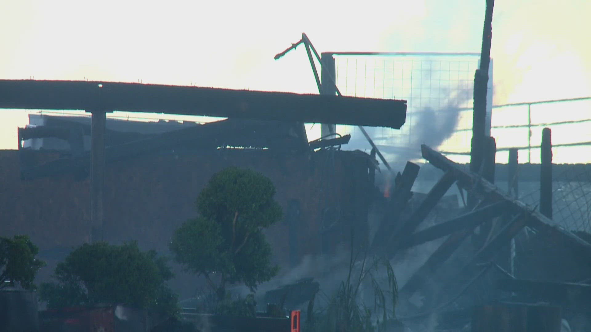 Louisville business recovering after greenhouse fire