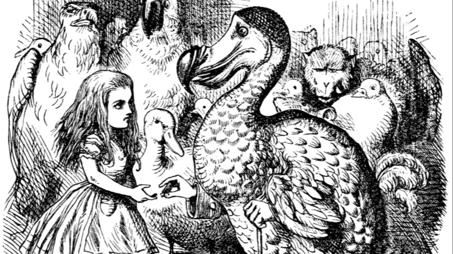 20 animal species from history that disappeared because of humans