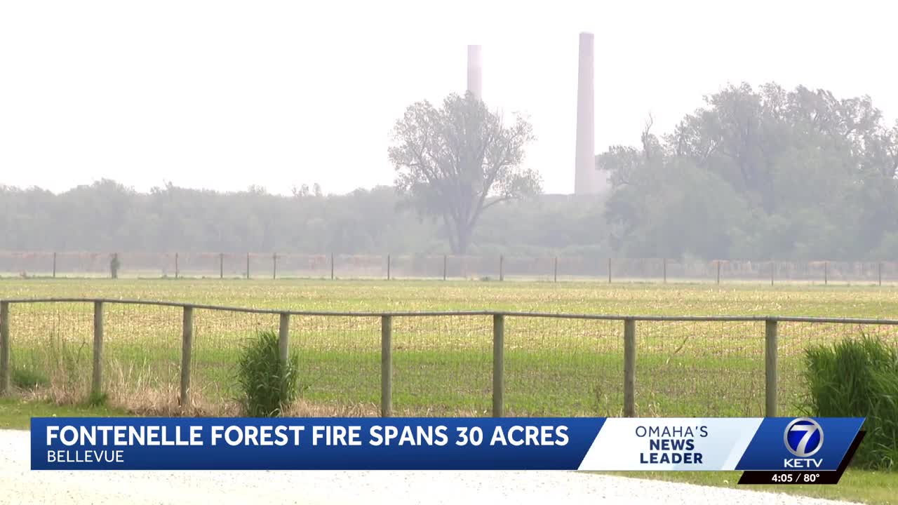 Fire at Fontenelle Forest burns 30 acres, closes trails in Bellevue
