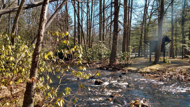 Pennsylvania's smallest state park is a roadside gem for fishing and ...