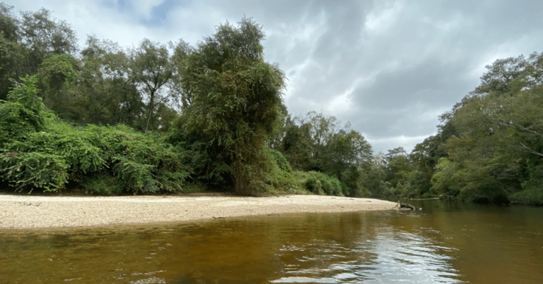 Skip the hike - this Mississippi trail is even better
