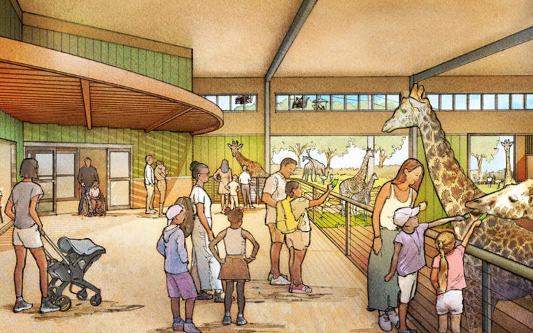 New exhibit in KC Zoo's Africa zone will get you nearly 'nose-to-nose ...