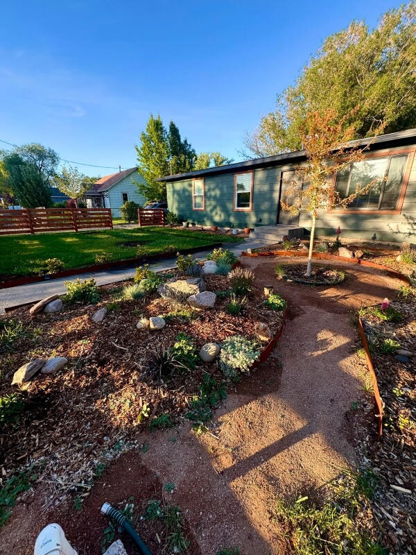 Before-and-after desert meadow makeover leaves Colorado front yard ...