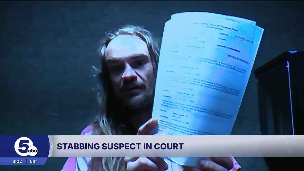 Man arraigned for the stabbing of Wayne County sheriff and sergeant