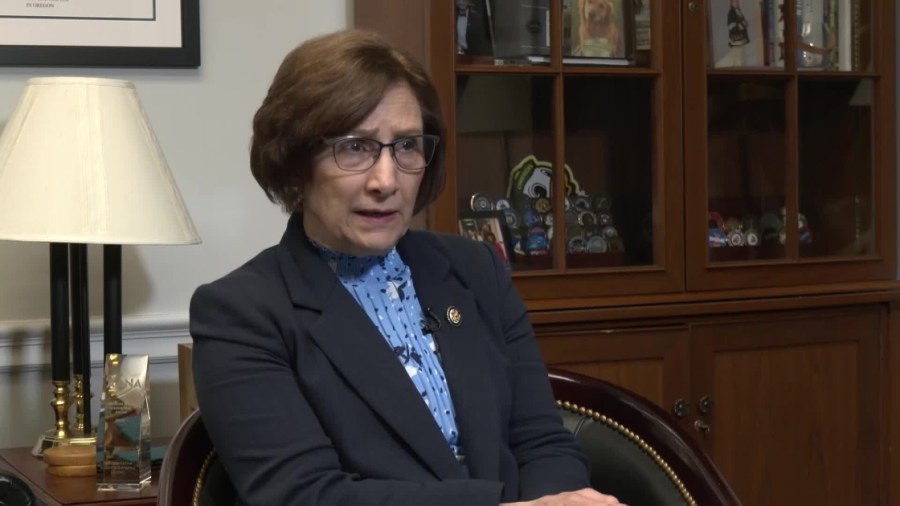 Capitol conversations: US Rep. Suzanne Bonamici on work to stop 'dream ...