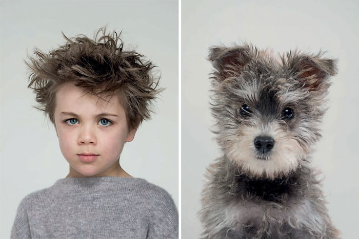 Resemblance is uncanny: 10 dogs and their owners side by side