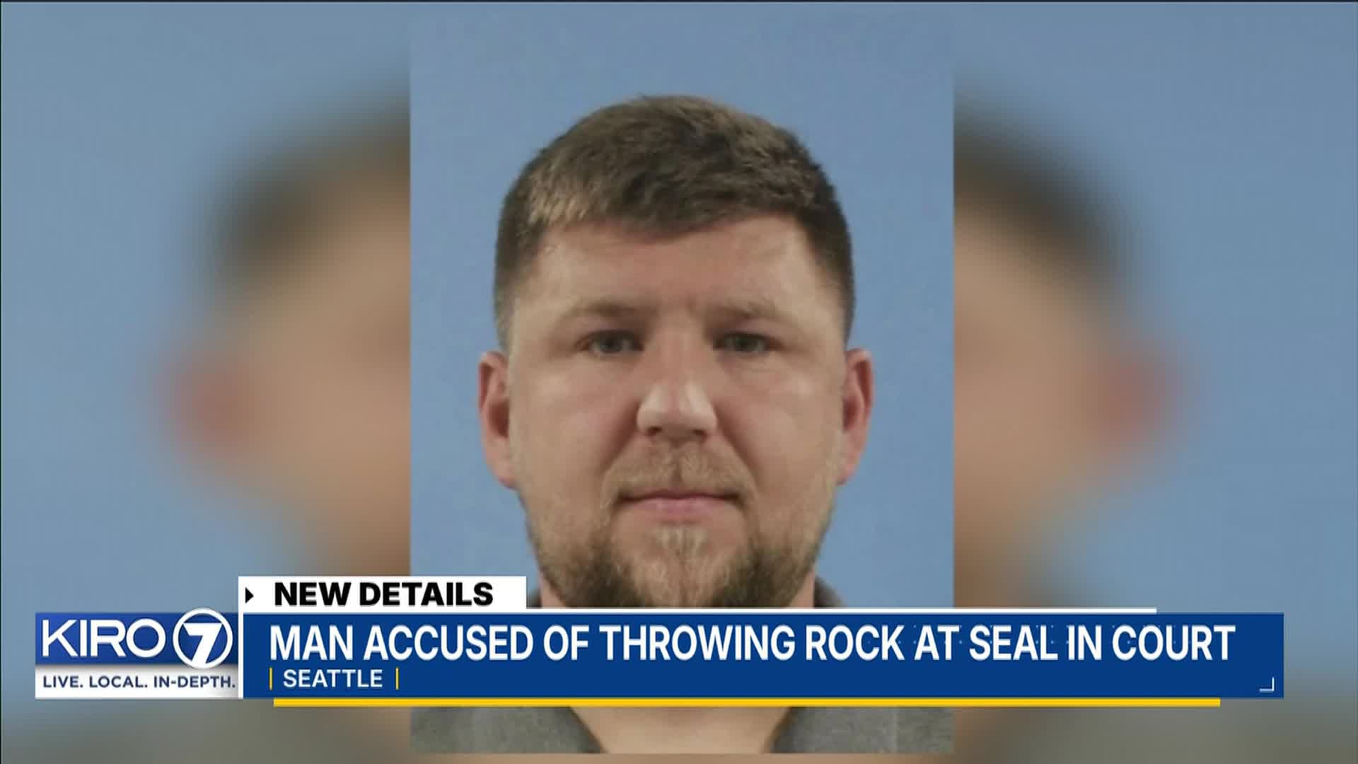 Man accused of hurling rock at seal’s head makes first appearance in court