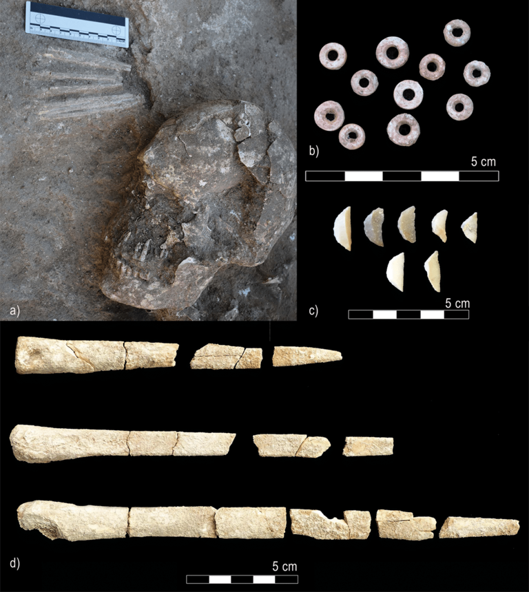 Archaeologists uncover 6,000-year-old monumental cemetery hidden ...