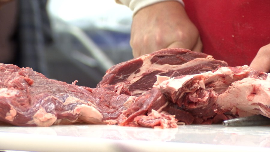 Eleven contestants compete in 2026’s Best Butcher Contest at PSU