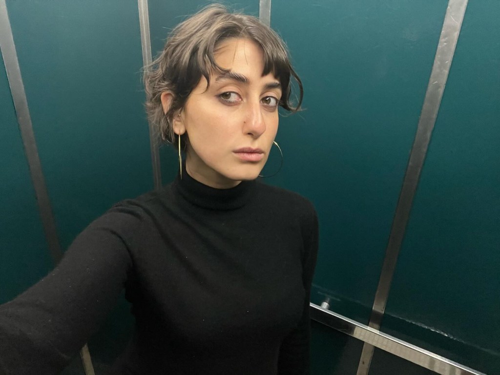 NYC first lady Rama Duwaji’s anti-Israel Spotify playlists included ...