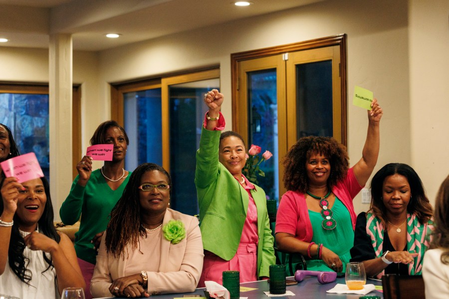 Alpha Kappa Alpha Sorority Inc.® of Omicron Iota Omega Chapter will ...