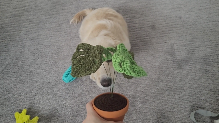 Crochet plants and flower lights turn a craft table into a handmade garden