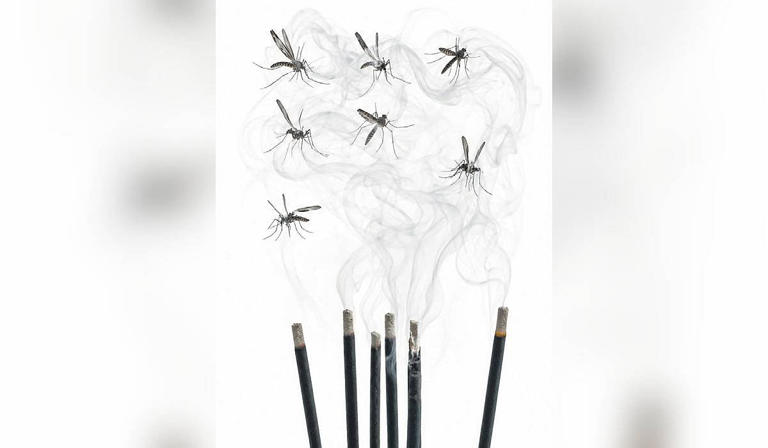 Mosquito repellent agarbattis pose serious health risks, public health ...